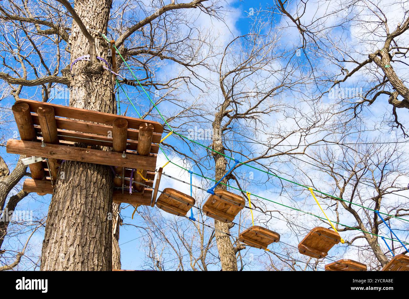 Training in the wood hi-res stock photography and images - Alamy