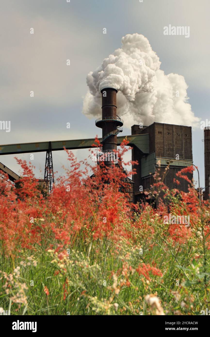 Hydrogen fluride hi-res stock photography and images - Alamy