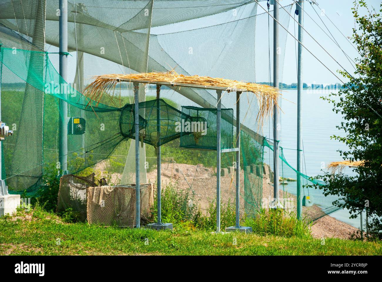 Research birds hi-res stock photography and images - Alamy