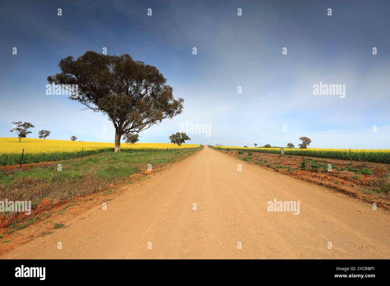 Country road through rural farmland Stock Photo - Alamy
