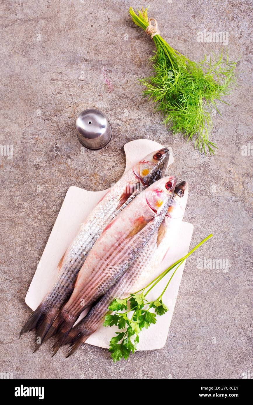Raw gray Mullet Fish (Kefal) reading for cooking Stock Photo - Alamy