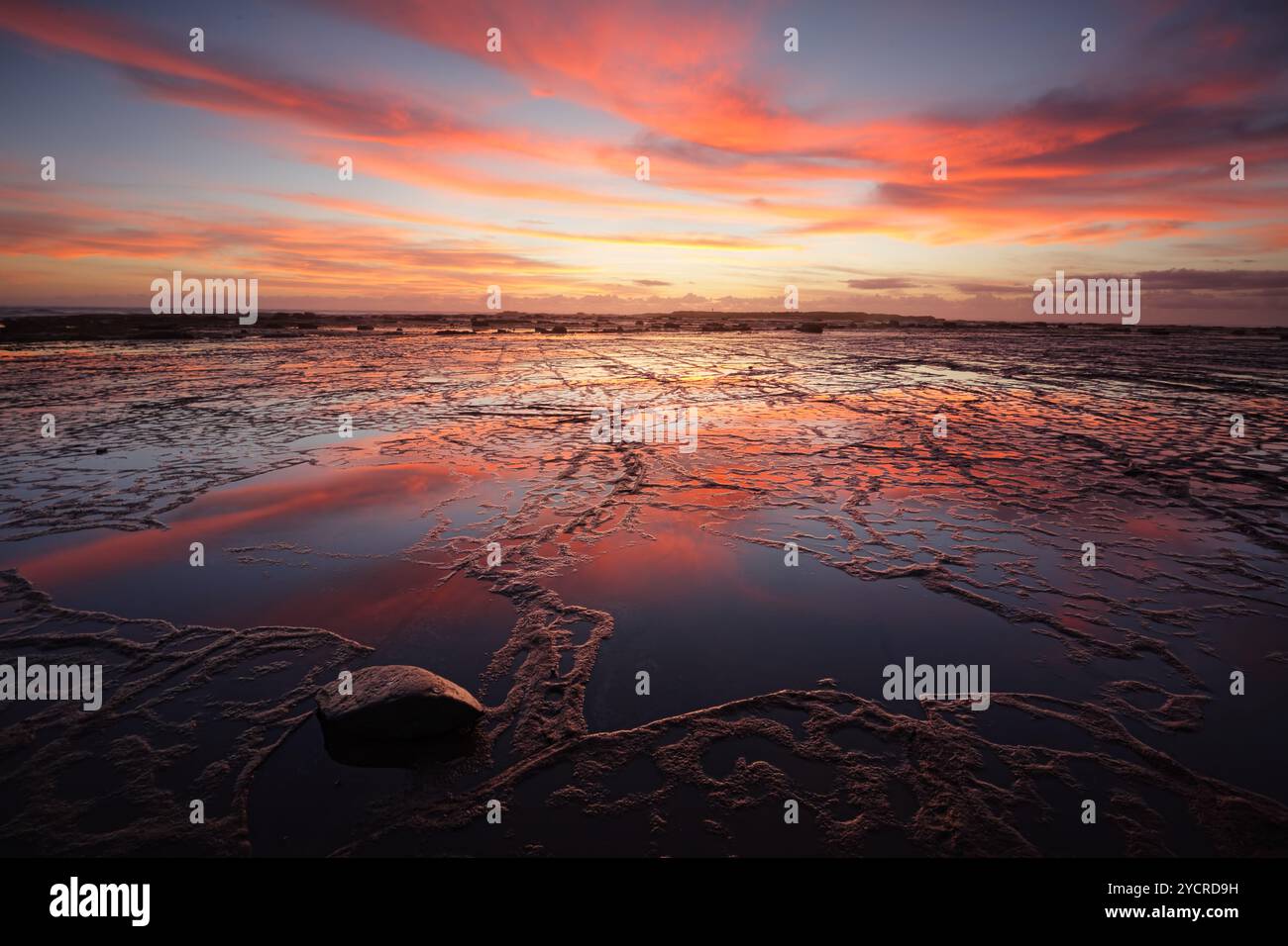 Long reef australia hi-res stock photography and images - Alamy