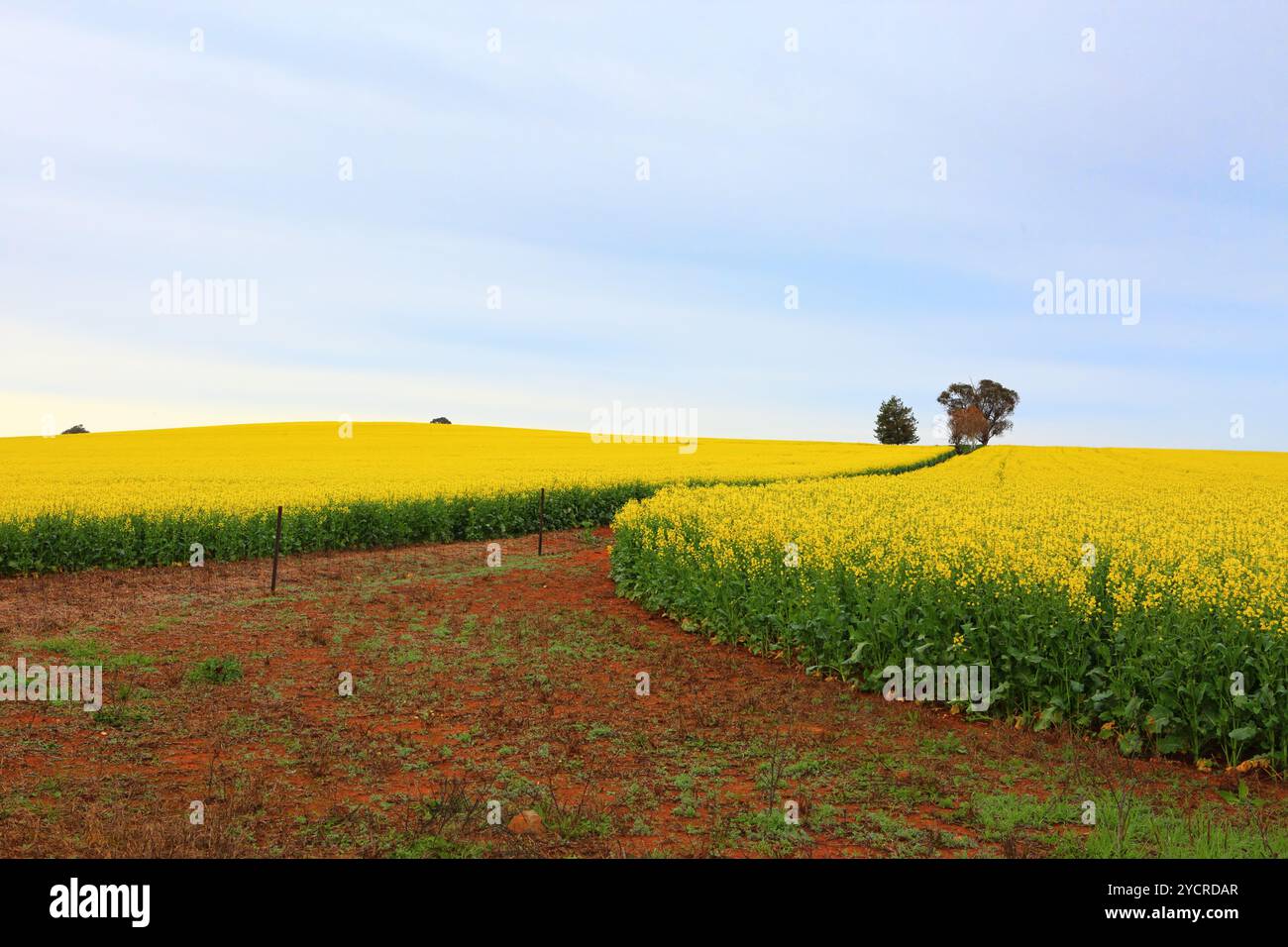 Rural farm fields red hi-res stock photography and images - Alamy