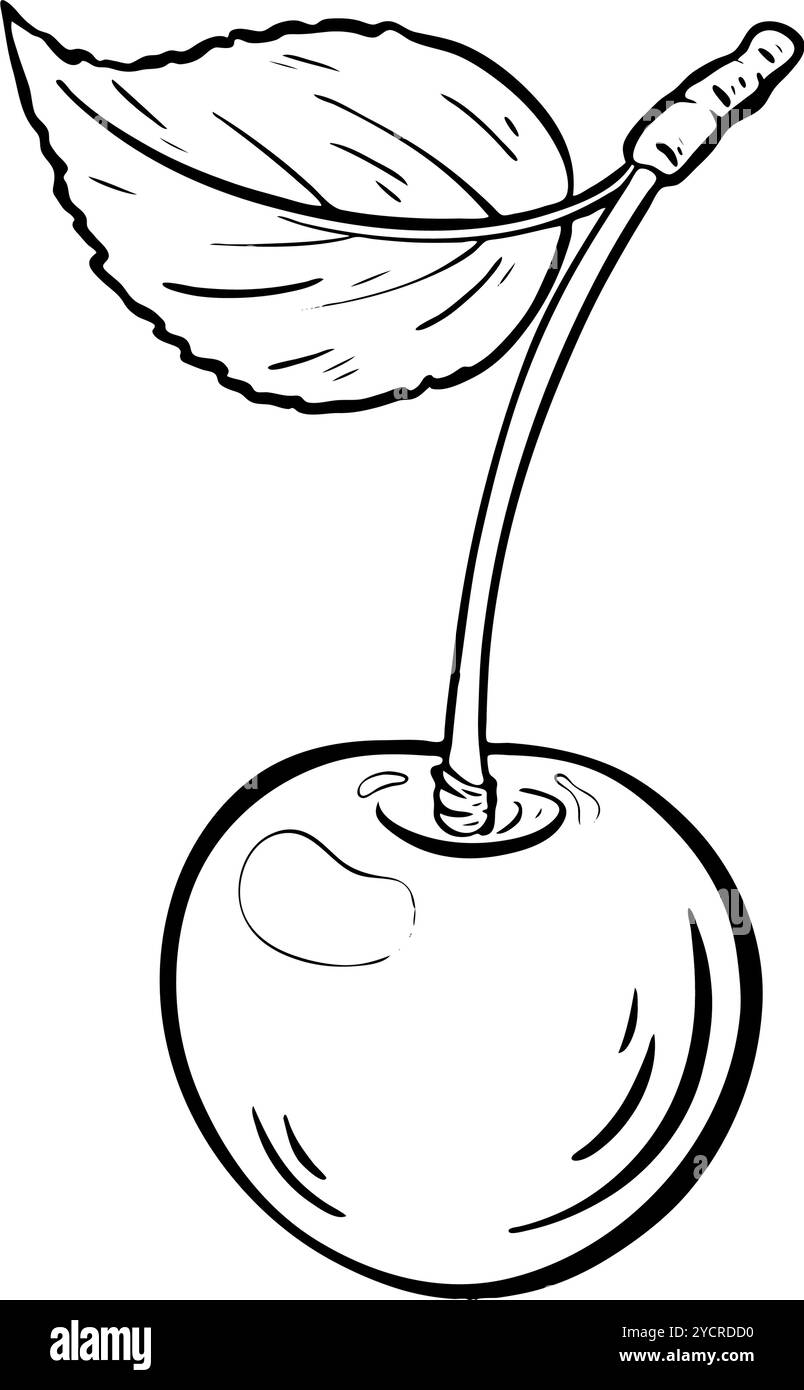 Illustrative Outline of a Single Cherry with a Leaf Accompanying It for ...