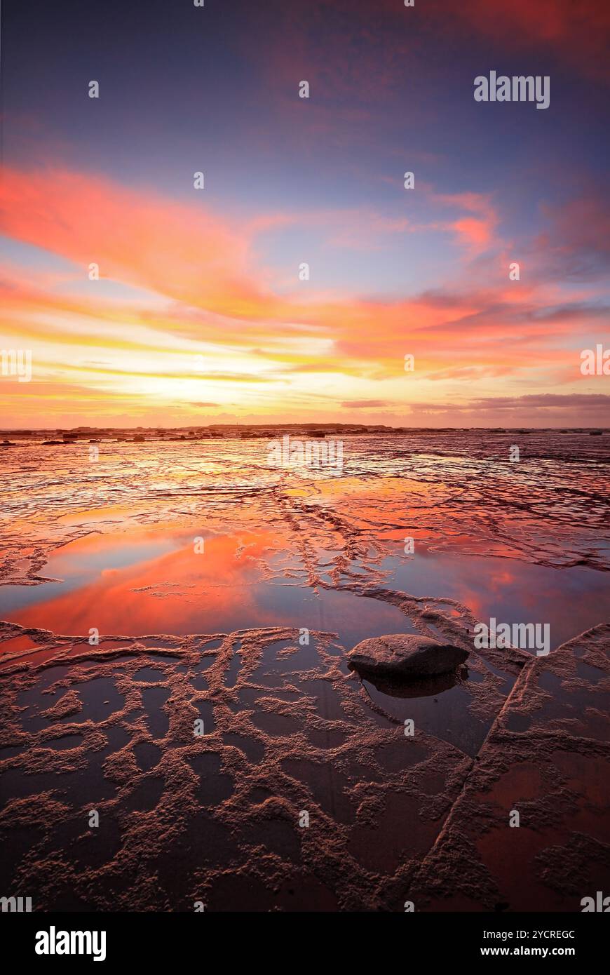 Long Reef vertical views Stock Photo - Alamy