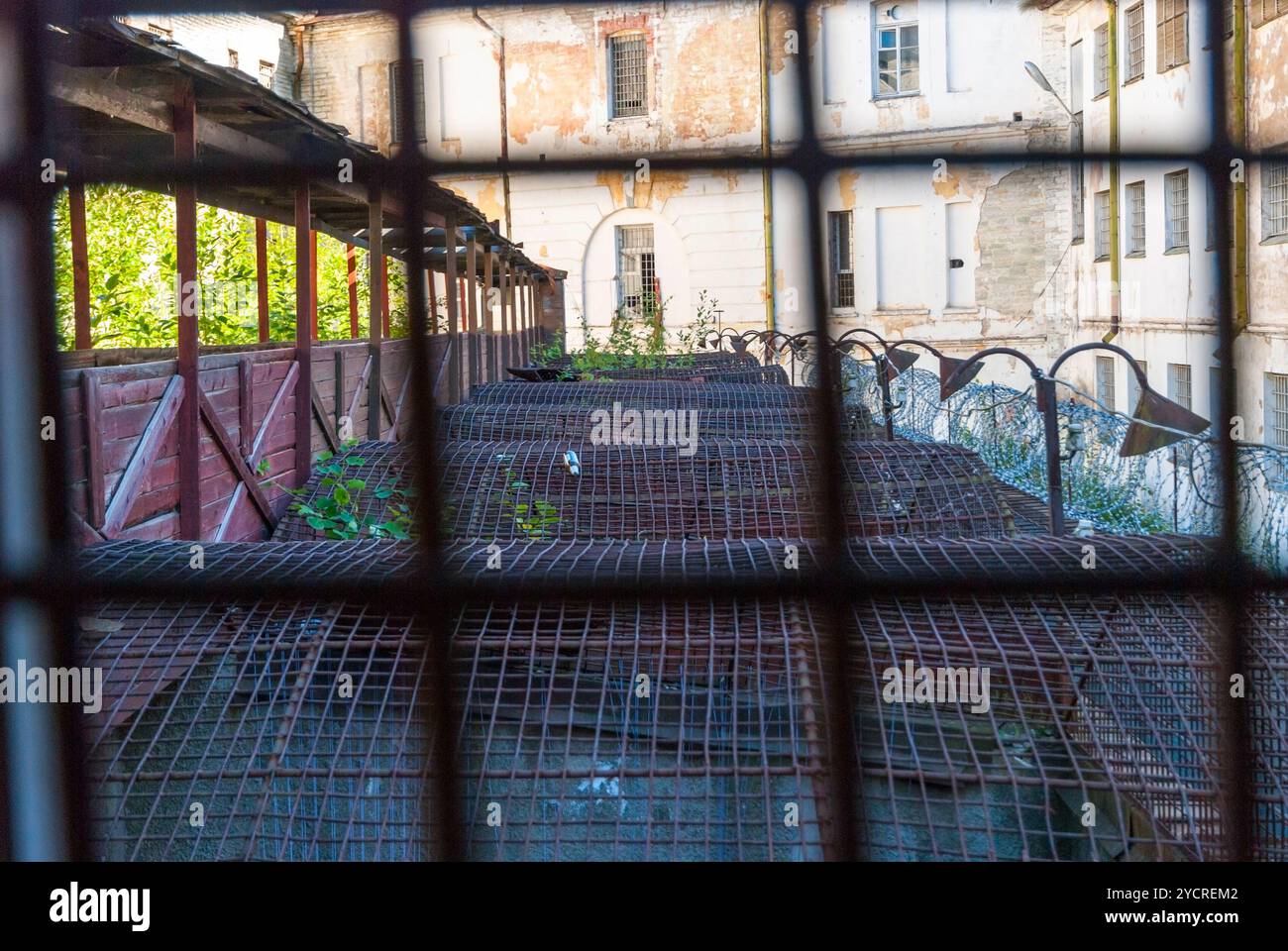 View through the bars on prison yard Stock Photo - Alamy