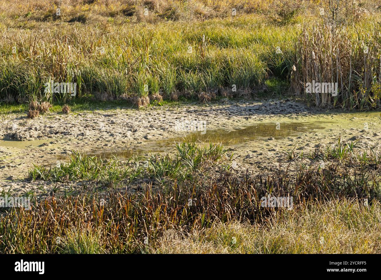Mud patches hi-res stock photography and images - Alamy