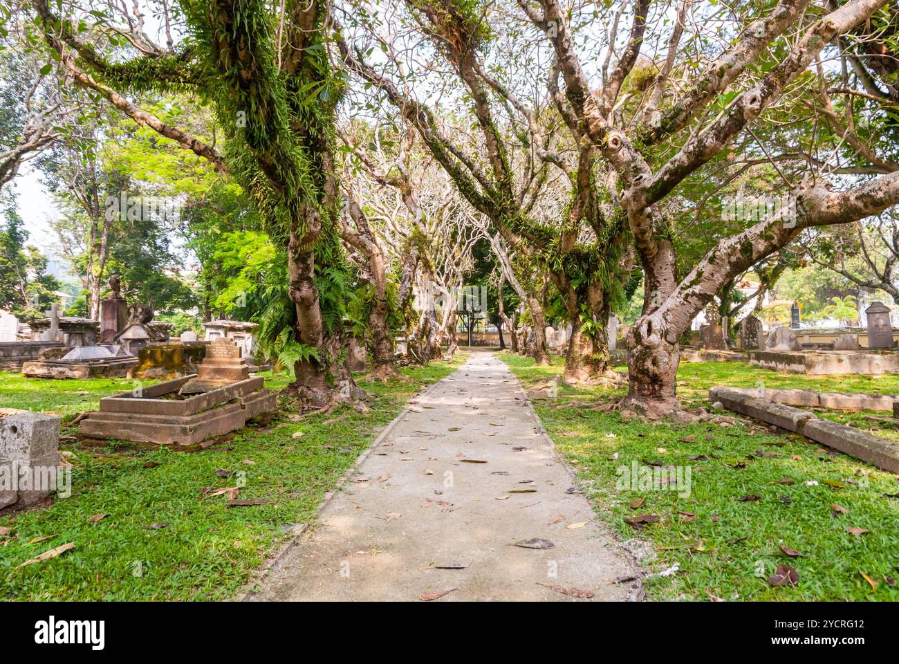 Cemetery in George town, Malaysia Stock Photo - Alamy