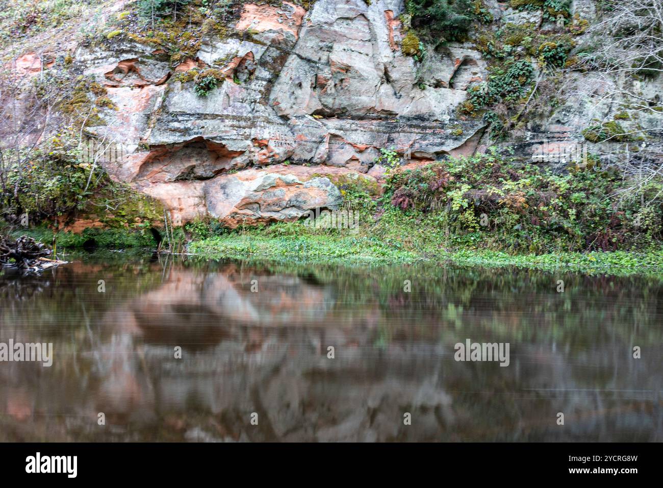 sandstone outcrops on the bank of Brasla river, colorful trees in ...