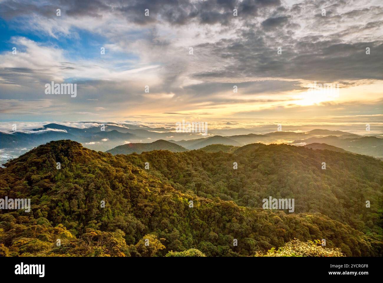 Sunrise over hills with tree silhouette hi-res stock photography and ...