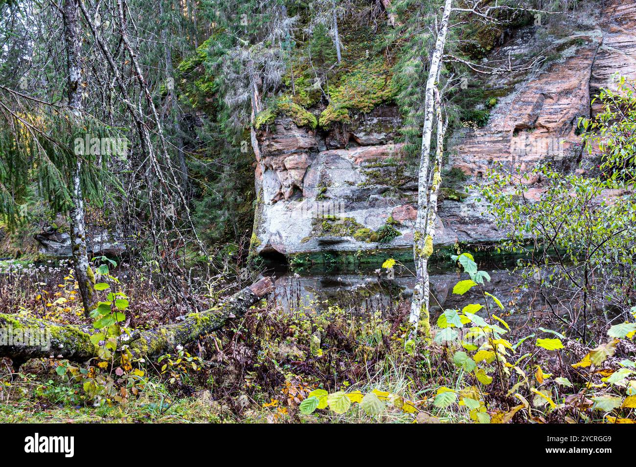 sandstone outcrops on the bank of Brasla river, colorful trees in ...