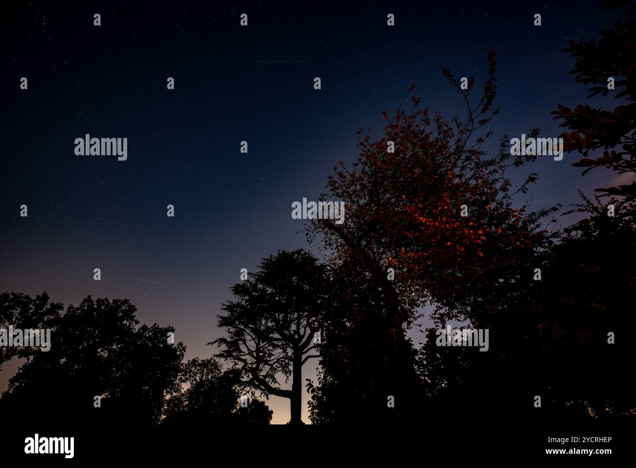 Night sky with stars Stock Photo - Alamy