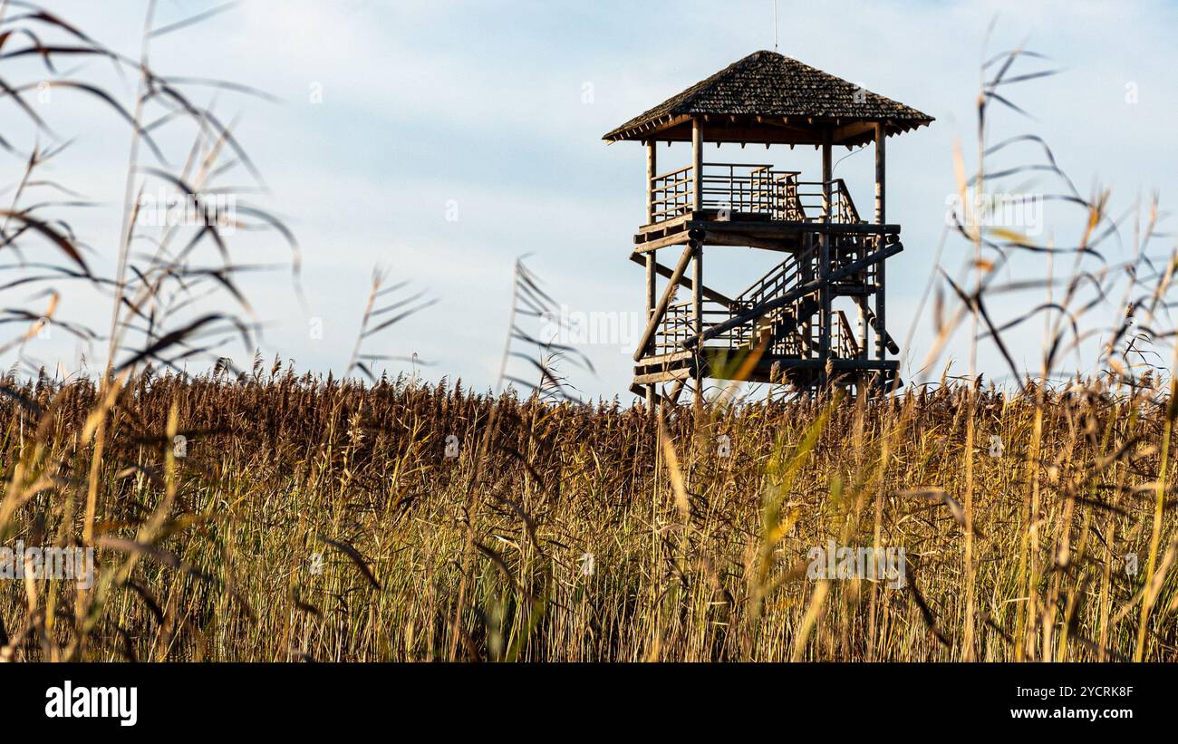landscape with a birdwatching tower, a unique cultural landscape consisting of overgrown and ...