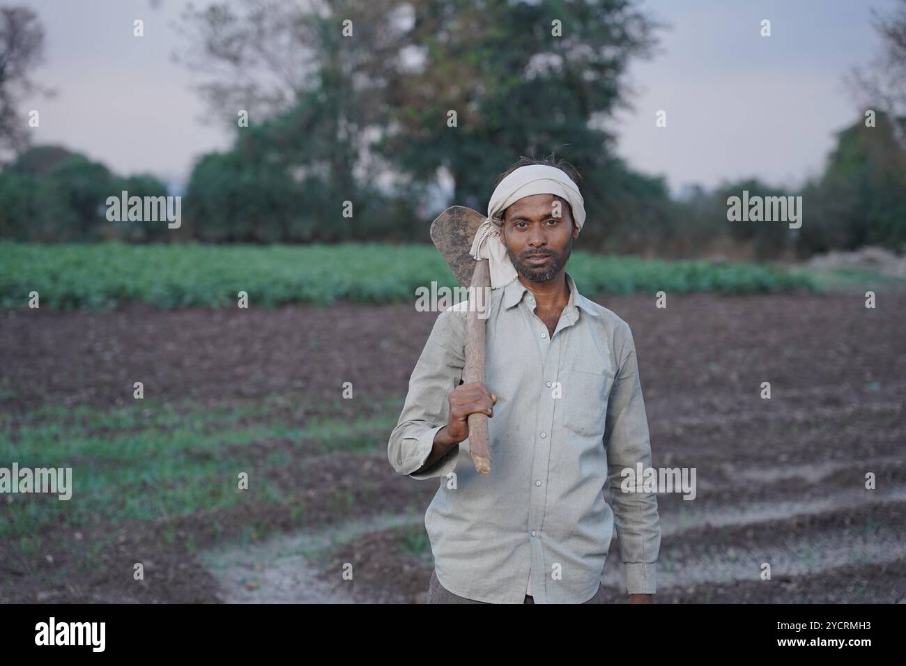 Indian farmer, young, laboring on the field Stock Photo - Alamy