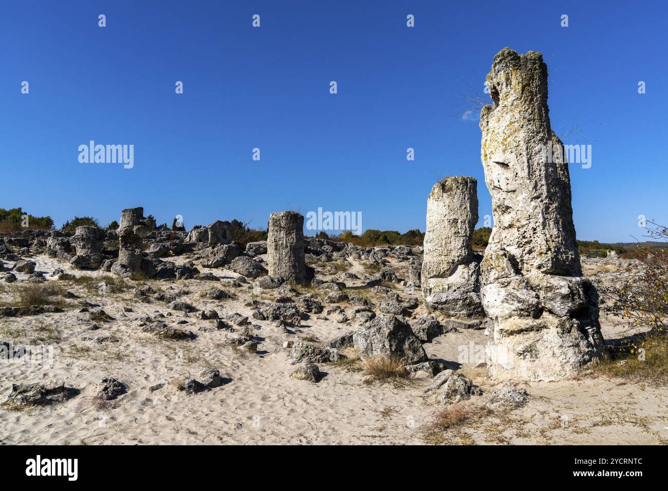 A view of the Pobiti Kamania Stone Forest and desert in Varna Province ...