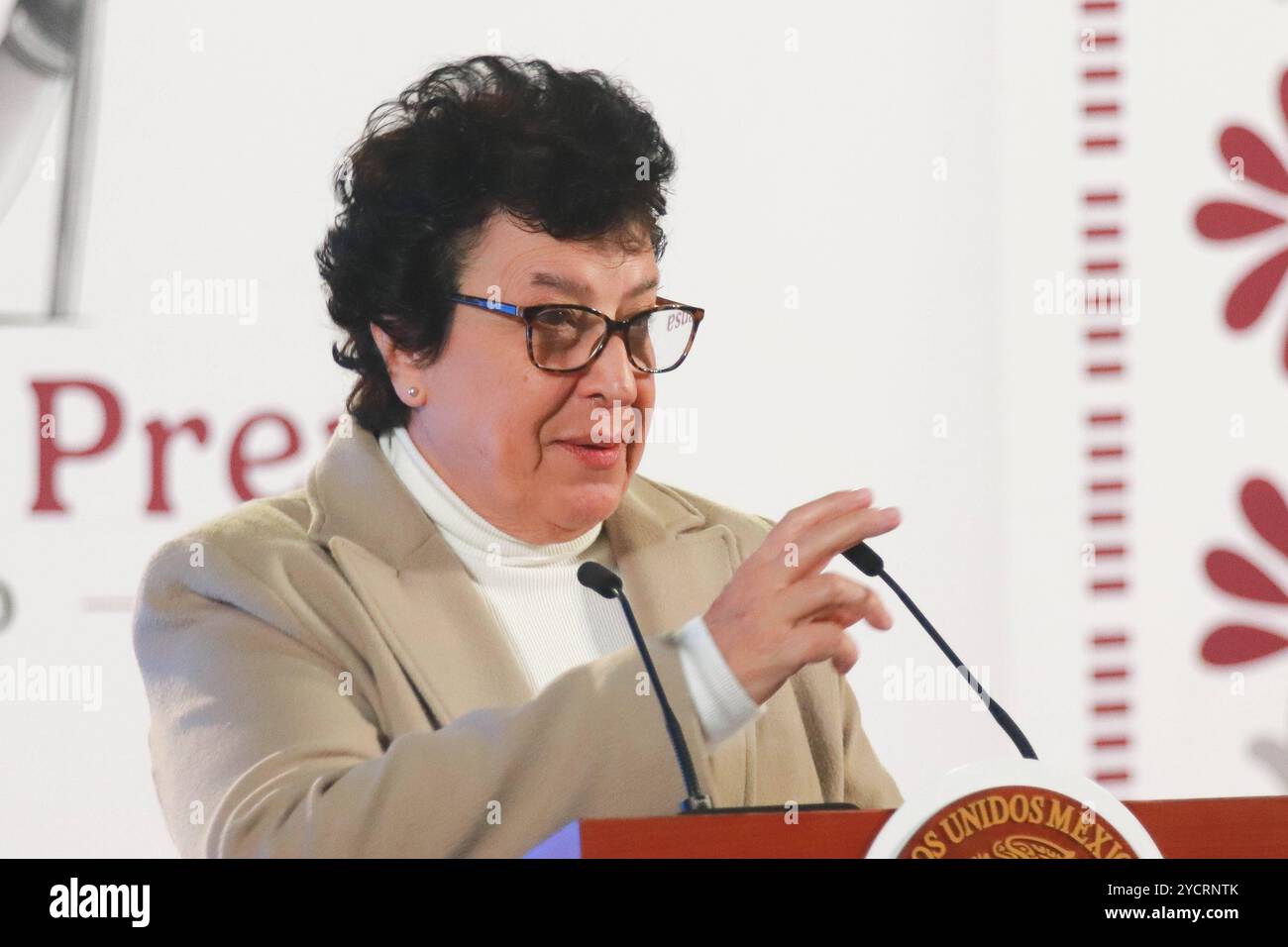 Mexicos President Claudia Sheinbaum Briefing Conference Raquel Sosa ...