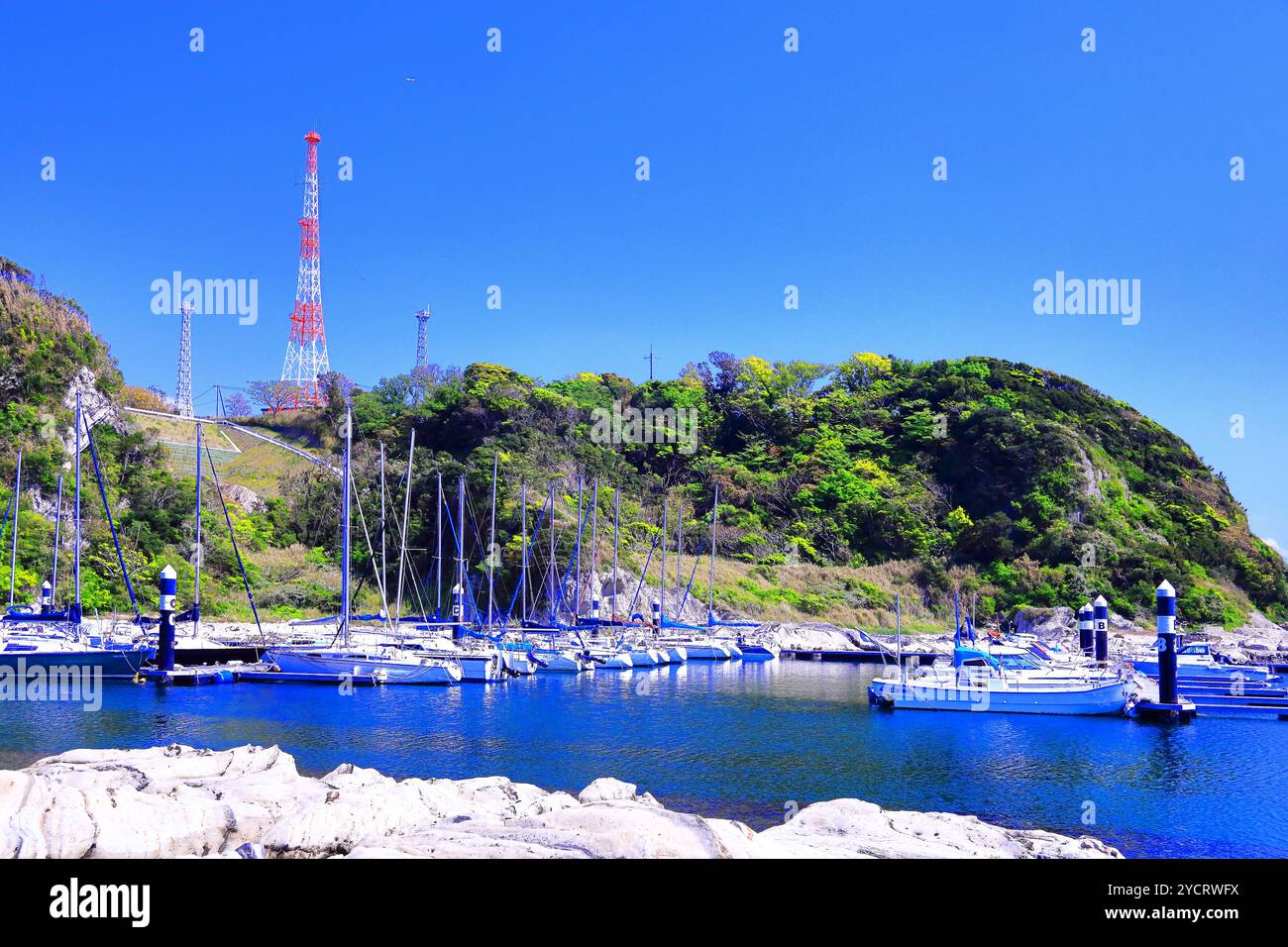 Kanagawa Pref. Miura Miyagawa Fishery Stock Photo - Alamy