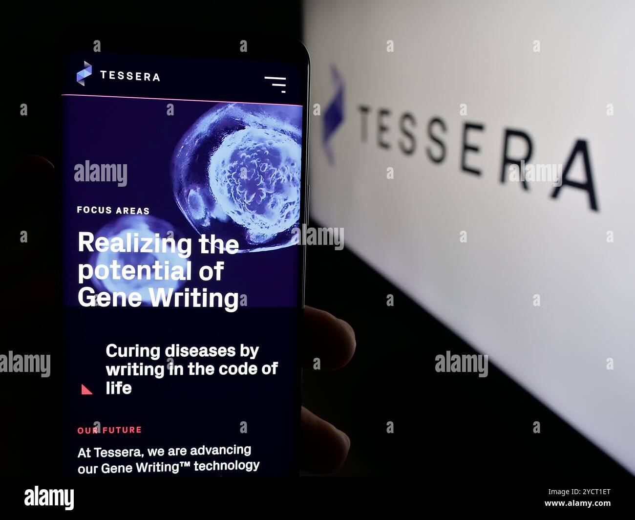 Tessera logo hi-res stock photography and images - Alamy