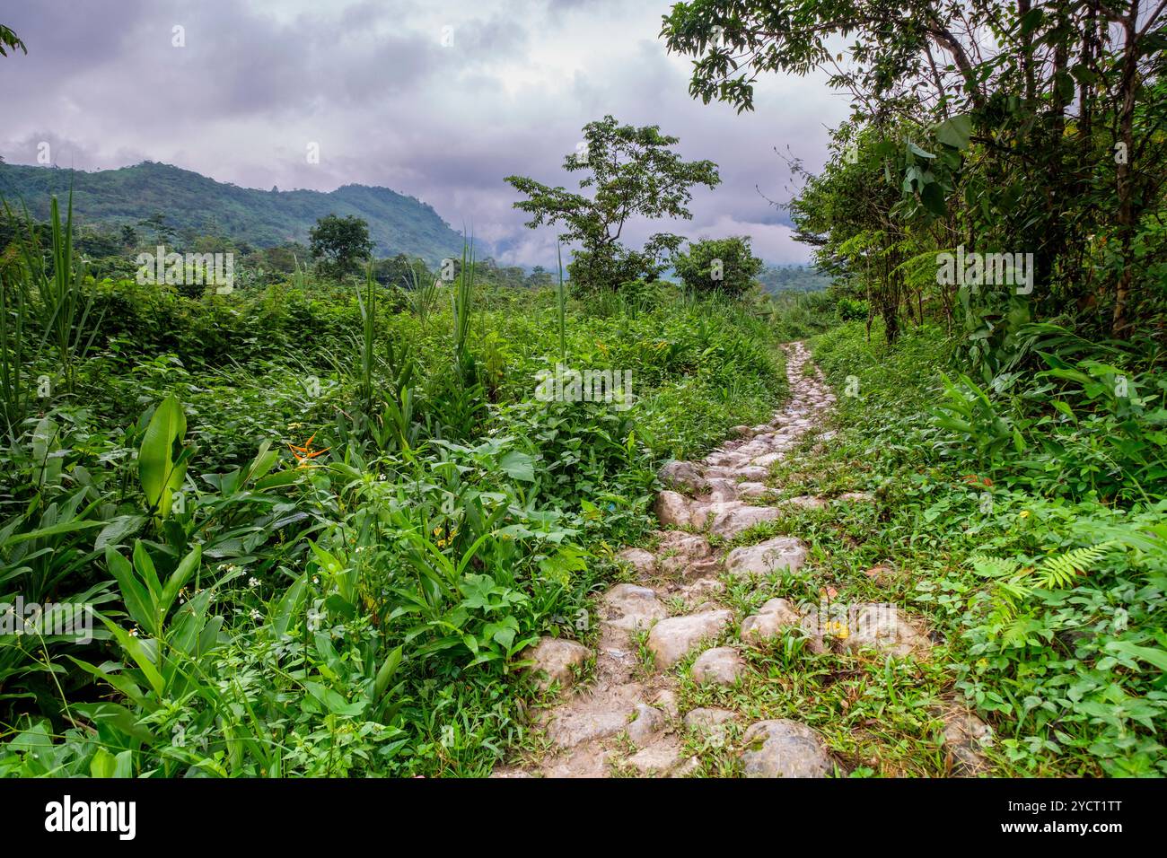 Little Treasure Road, -Tesoro Chiquito- La Taña, Northern Transversal ...