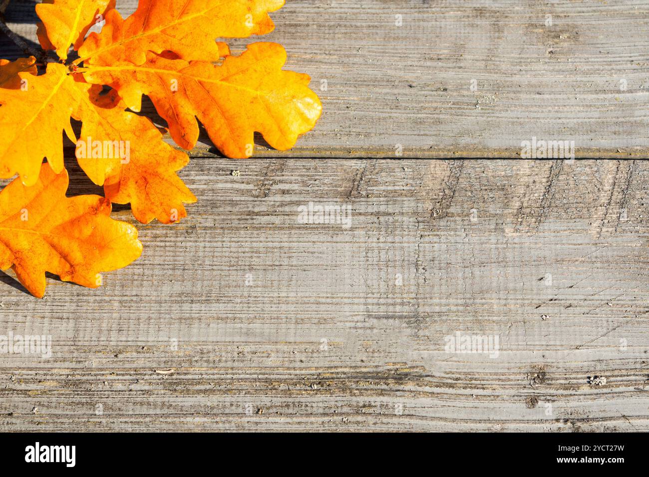 Autumn leaves frame empty hi-res stock photography and images - Alamy