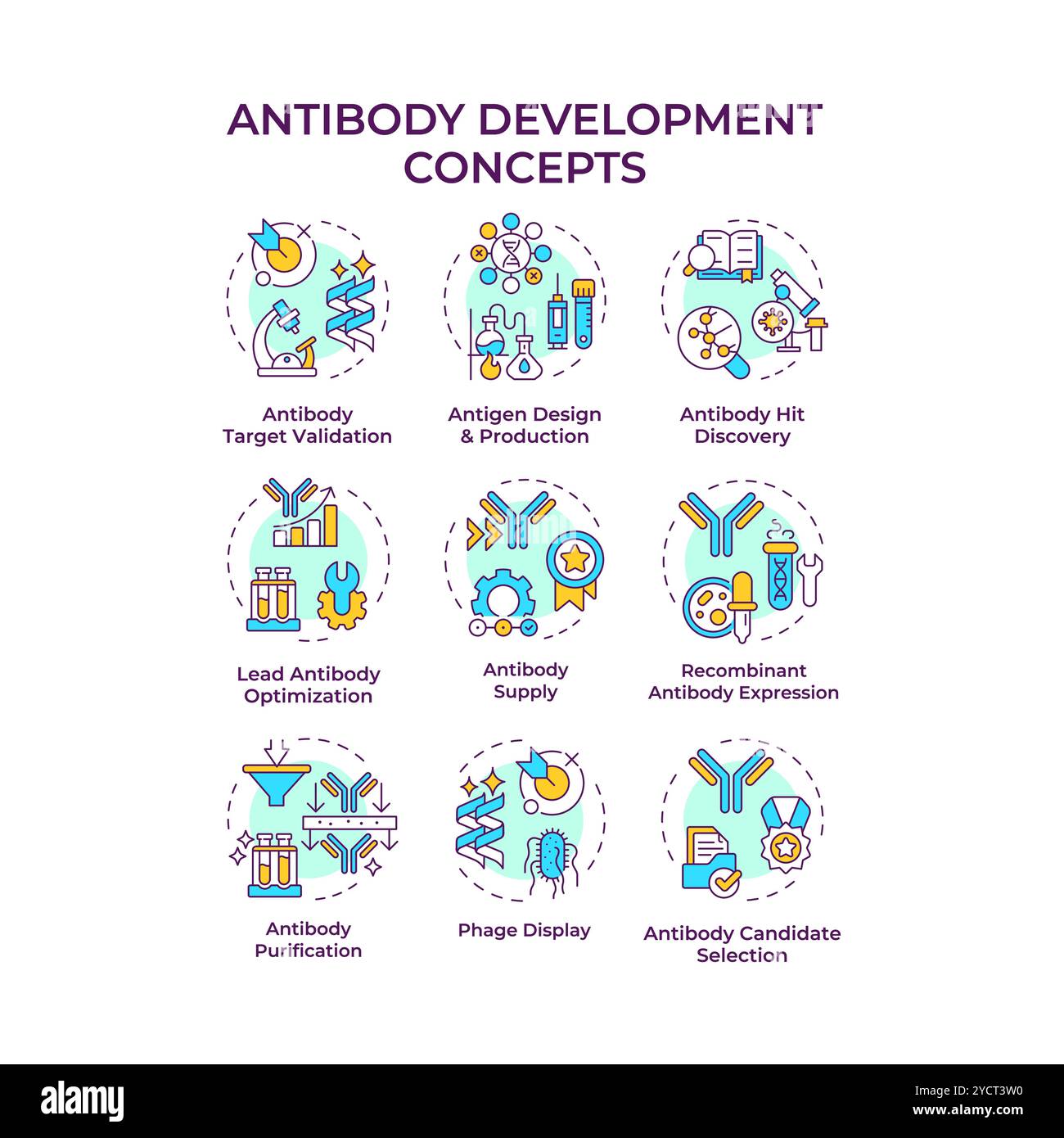 Antibody development multi color concept icons Stock Vector Image & Art ...