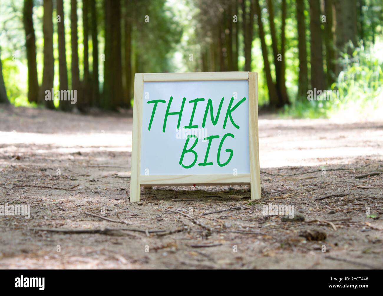 Think big symbol. Concept words Think Big on white chalk background ...