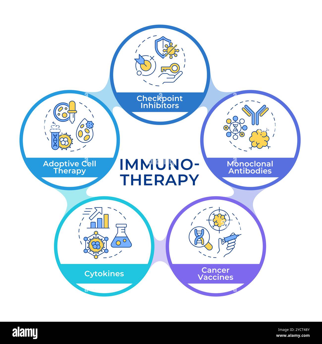 Immunotherapy types infographic circles flowchart Stock Vector Image ...