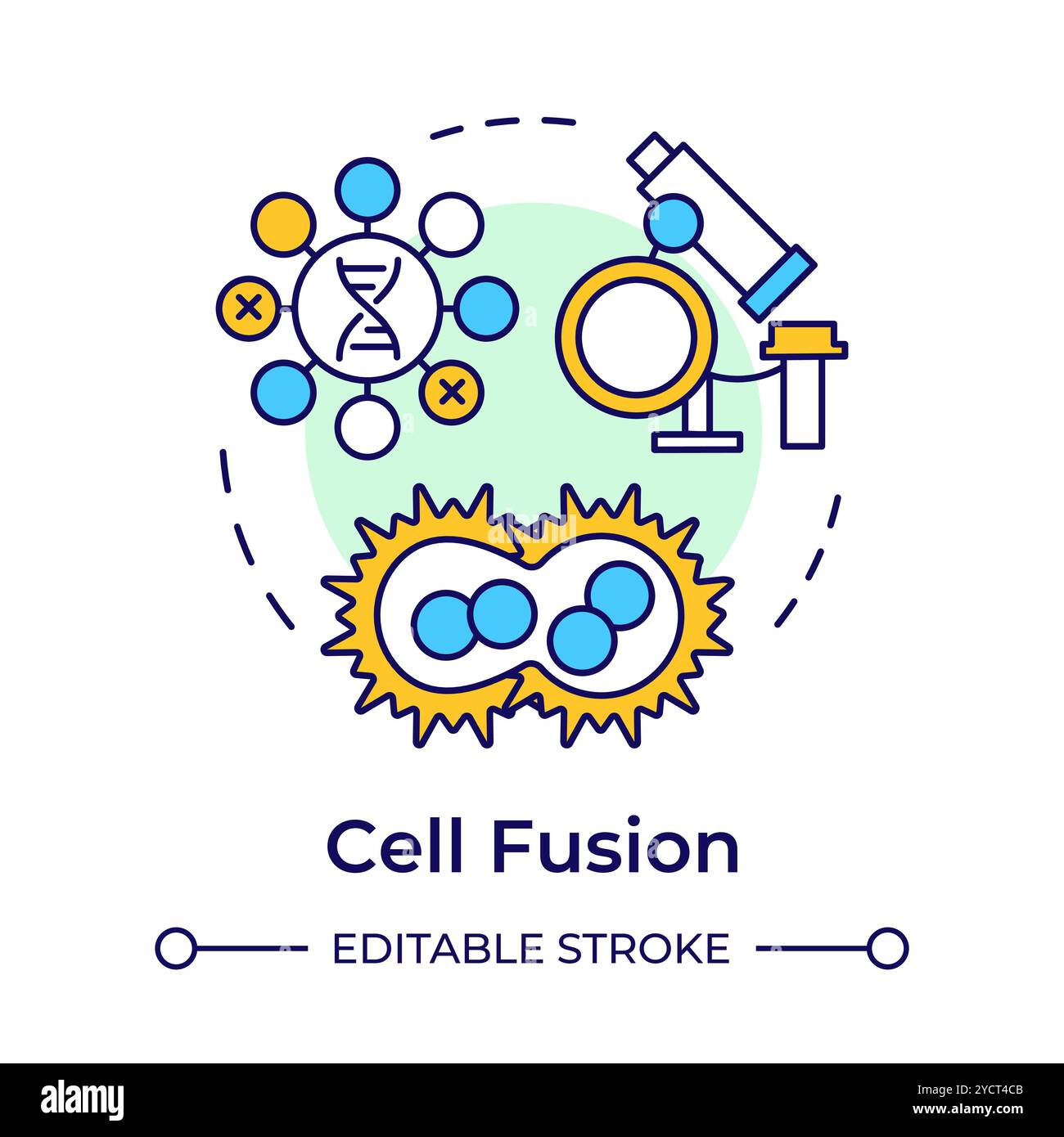 Immune cell production hi-res stock photography and images - Alamy