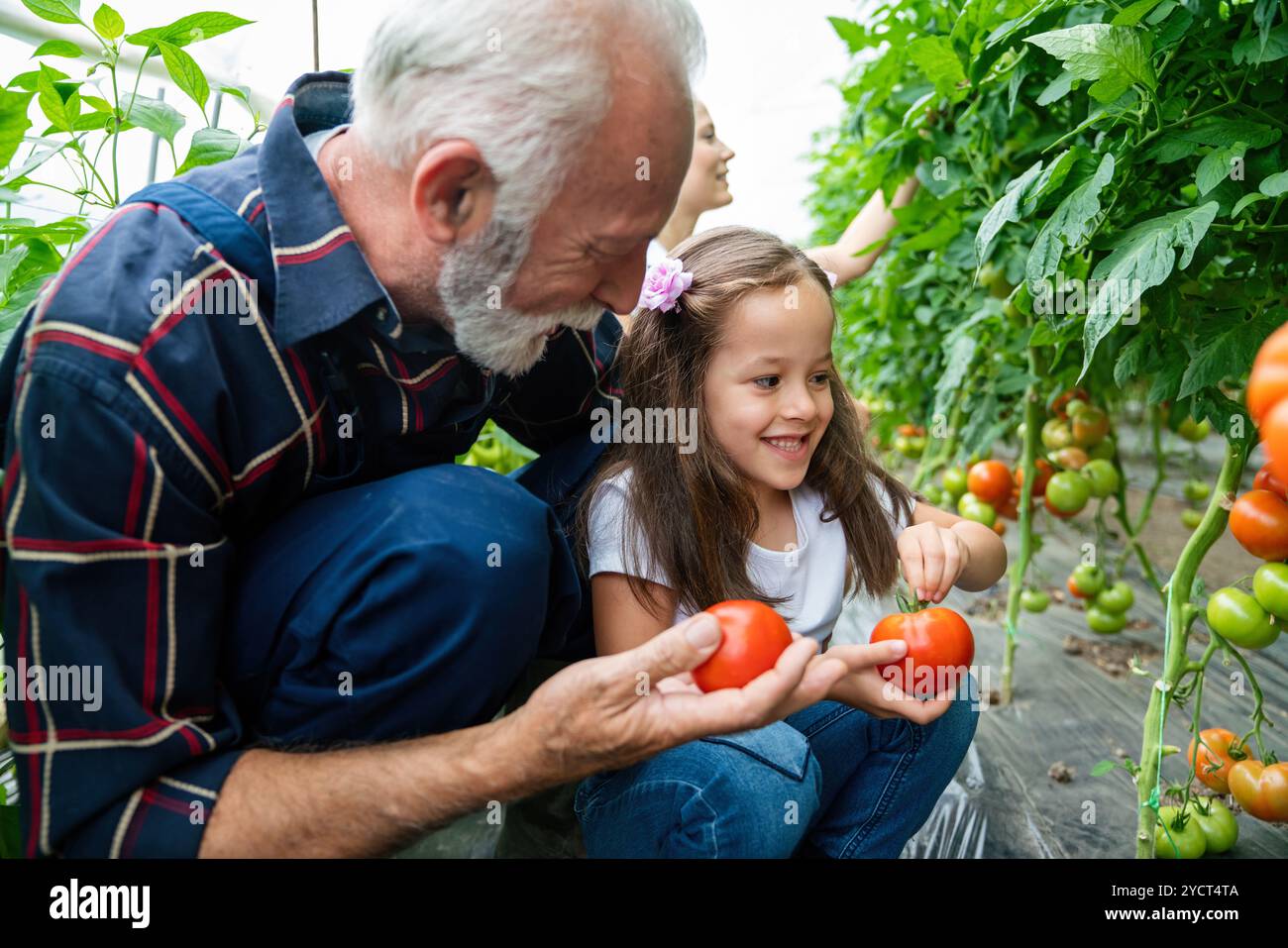 Family working together in greenhouse. Multigenerational family while ...
