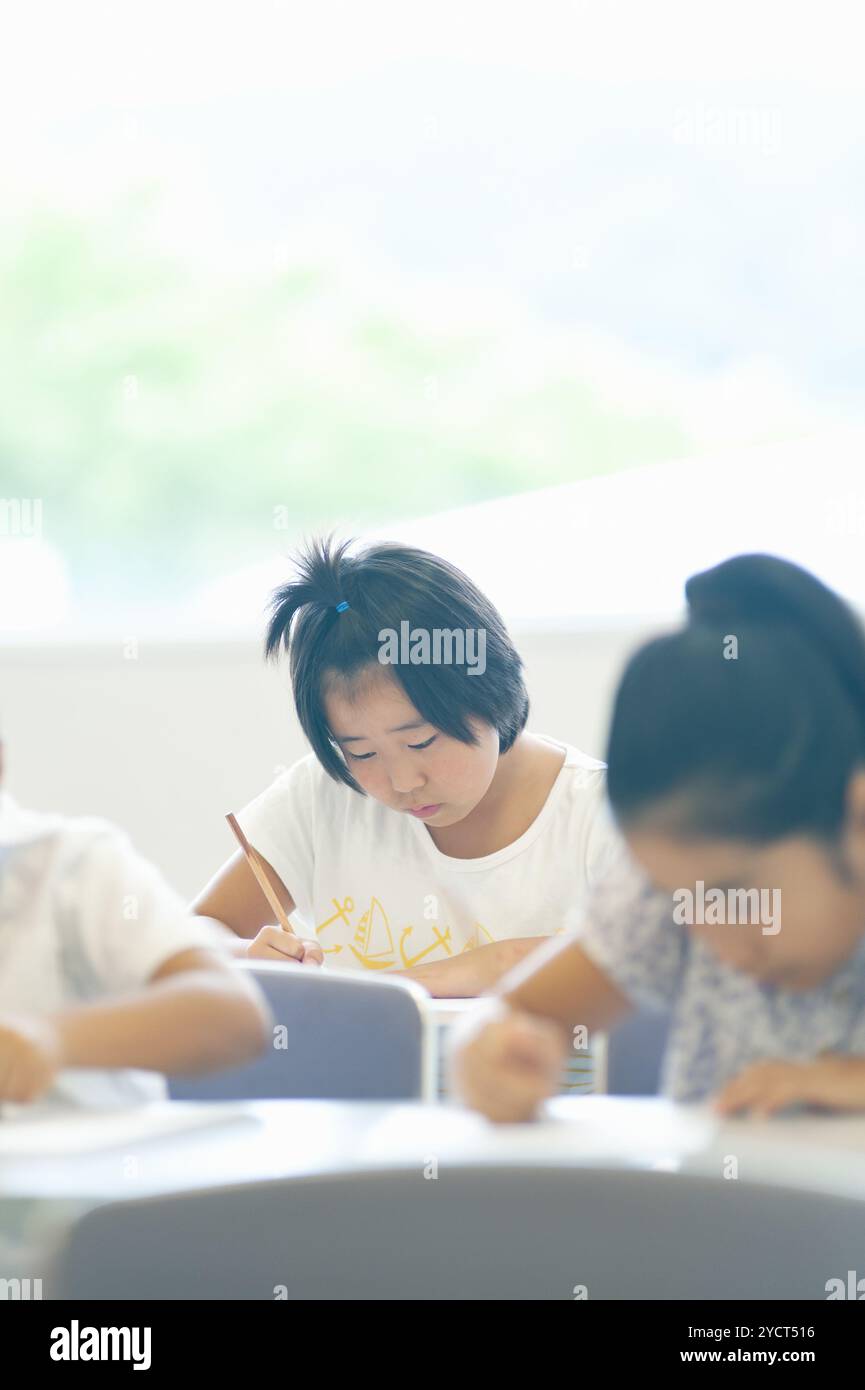 Primary schools student studying Stock Photo - Alamy