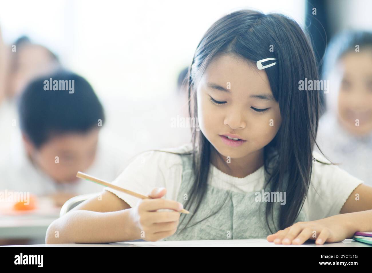 Primary schools student studying Stock Photo - Alamy