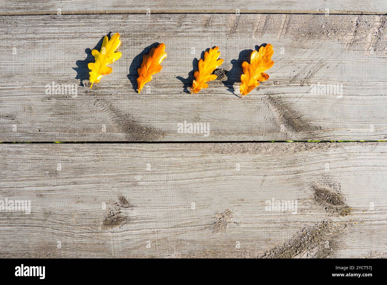 Autumn leaves on a table Stock Photo - Alamy