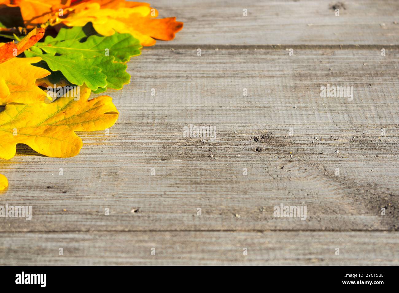 Autumn leaves on a table Stock Photo - Alamy