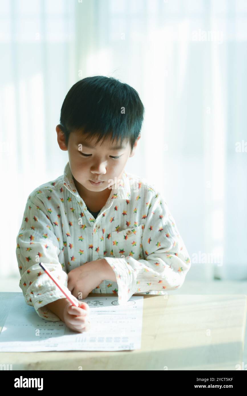 Primary schools boy studying Stock Photo - Alamy