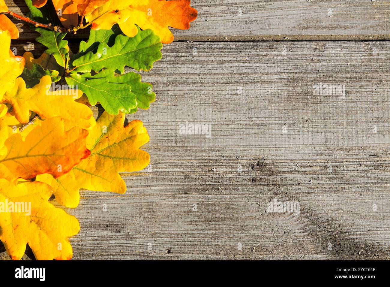 Autumn leaves on a table Stock Photo - Alamy