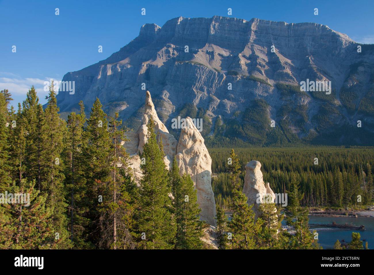 Hoodoos, sandstone columns, Banff National Park, Alberta, Canada Stock ...