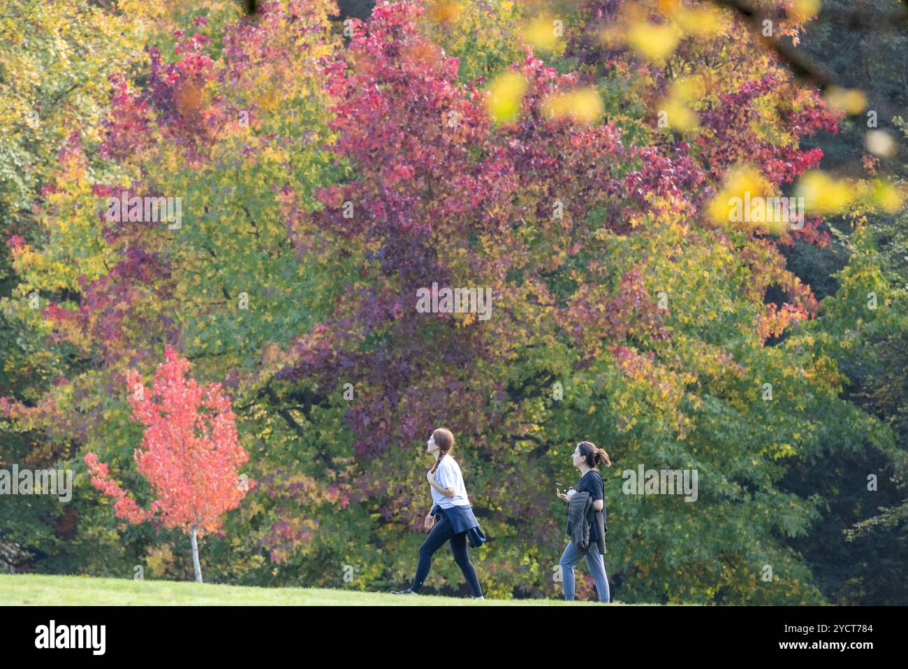 Pic shows: Nigel Farage is complaining on tv today in the Lobby of the ...