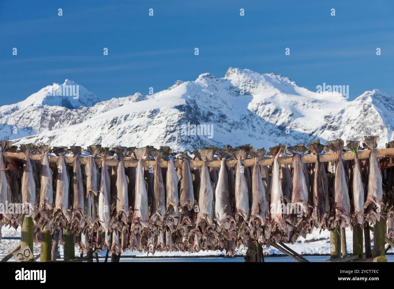 Stockfish wooden frame in hi-res stock photography and images - Alamy