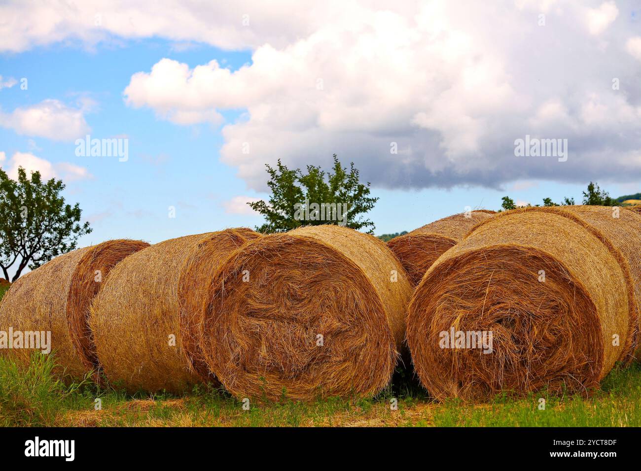 Medieval castle of Montefiorino of the Modena Apennines, historical and ...