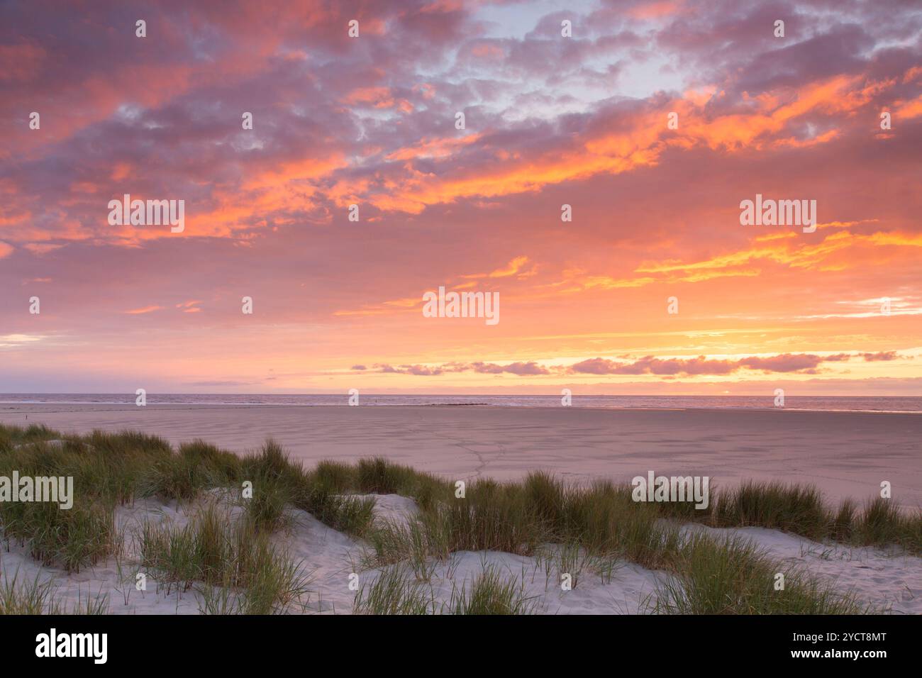 Dunes sunset texel island hi-res stock photography and images - Alamy