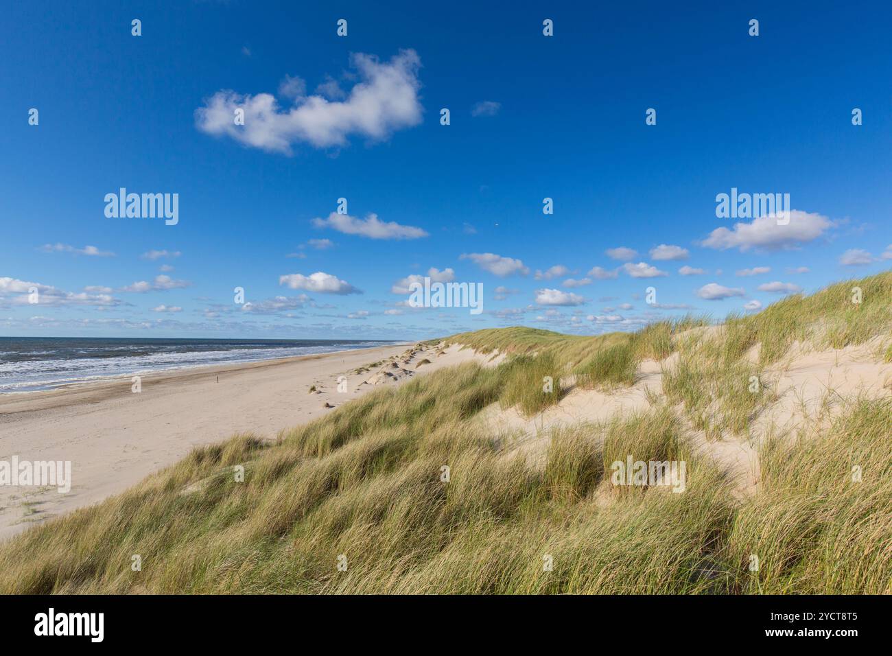 Dune landscape, Texel Island, Netherlands, Europe Stock Photo - Alamy