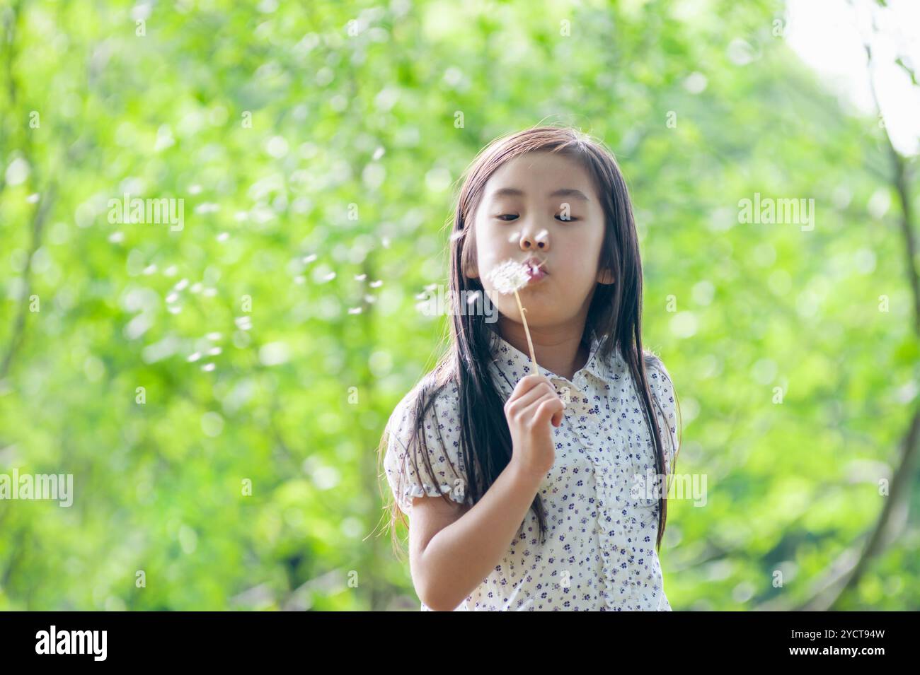 Girl blowing dandelion fluff Stock Photo - Alamy