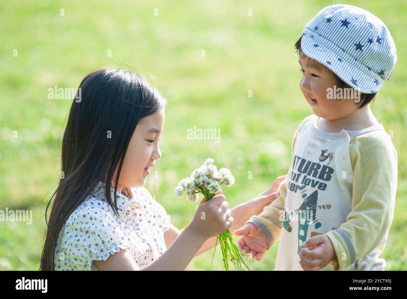 Japanese love grass hi-res stock photography and images - Alamy