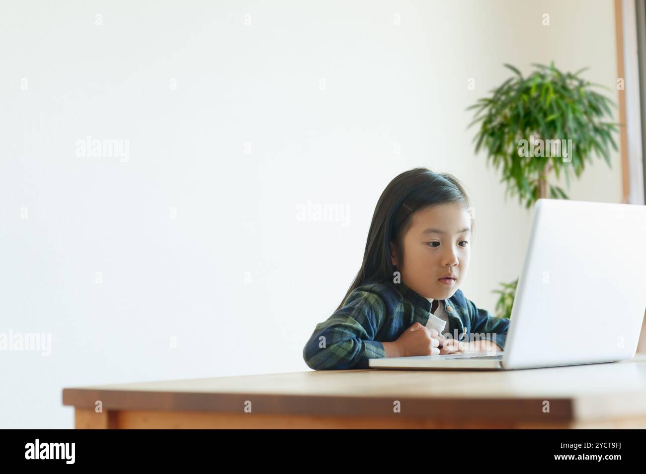 Girl looking pc screen hi-res stock photography and images - Alamy