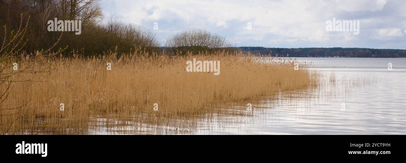 Muritz nationalpark hi-res stock photography and images - Alamy