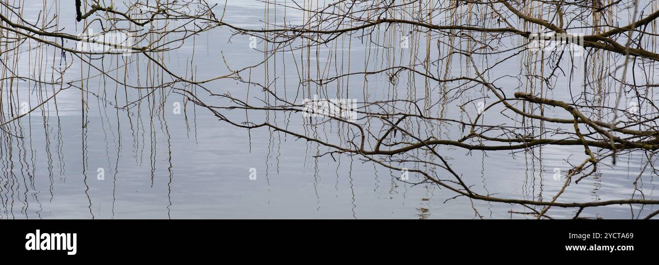 Landscape at the Lake Müritzsee, Müritz Nationalpark Stock Photo - Alamy