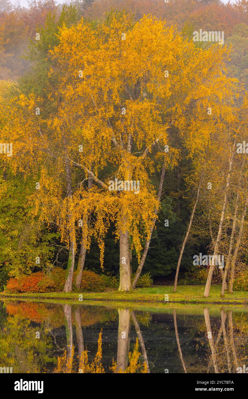 Mist and autumn colours surround the Pantheon this morning at Stourhead ...