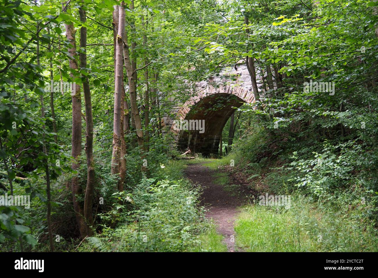 in the Höllental near Lichtenberg, Franconian Forest, Upper Franconia ...