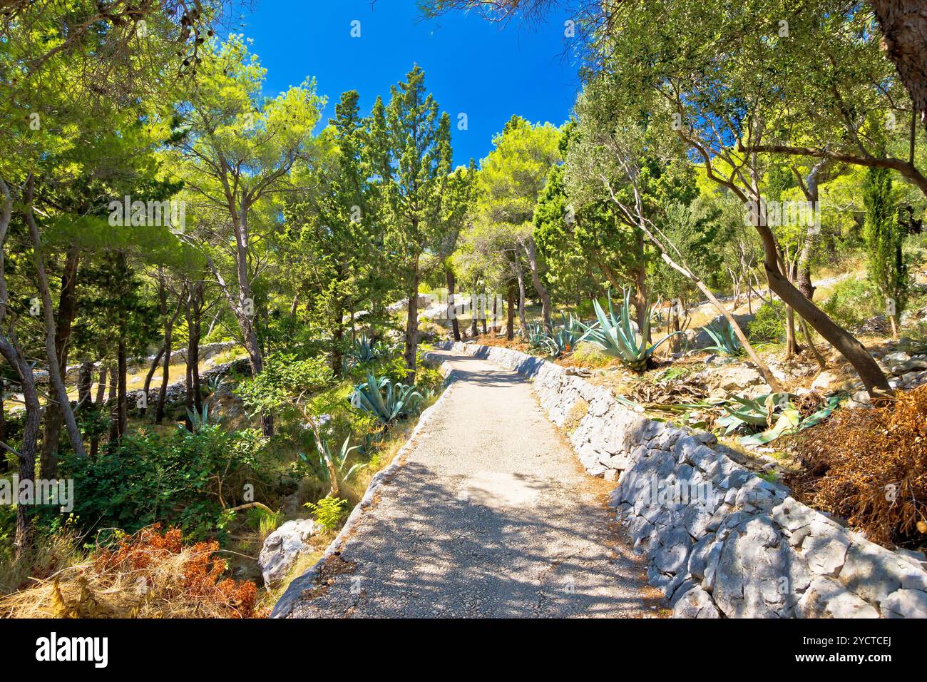 Mediterranean plants green landscape hill view Stock Photo - Alamy