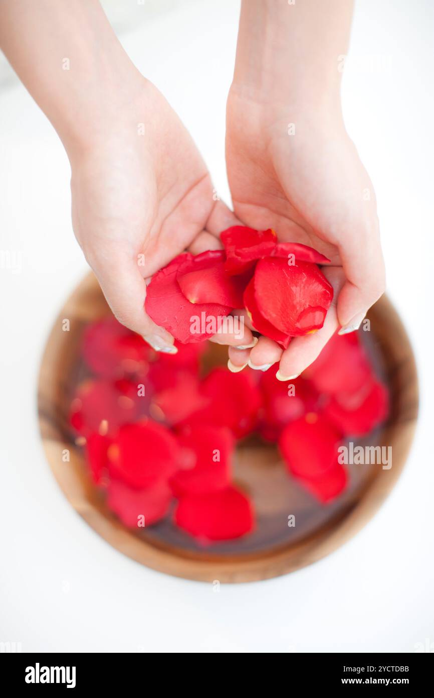 Flower on woman hand hi-res stock photography and images - Alamy